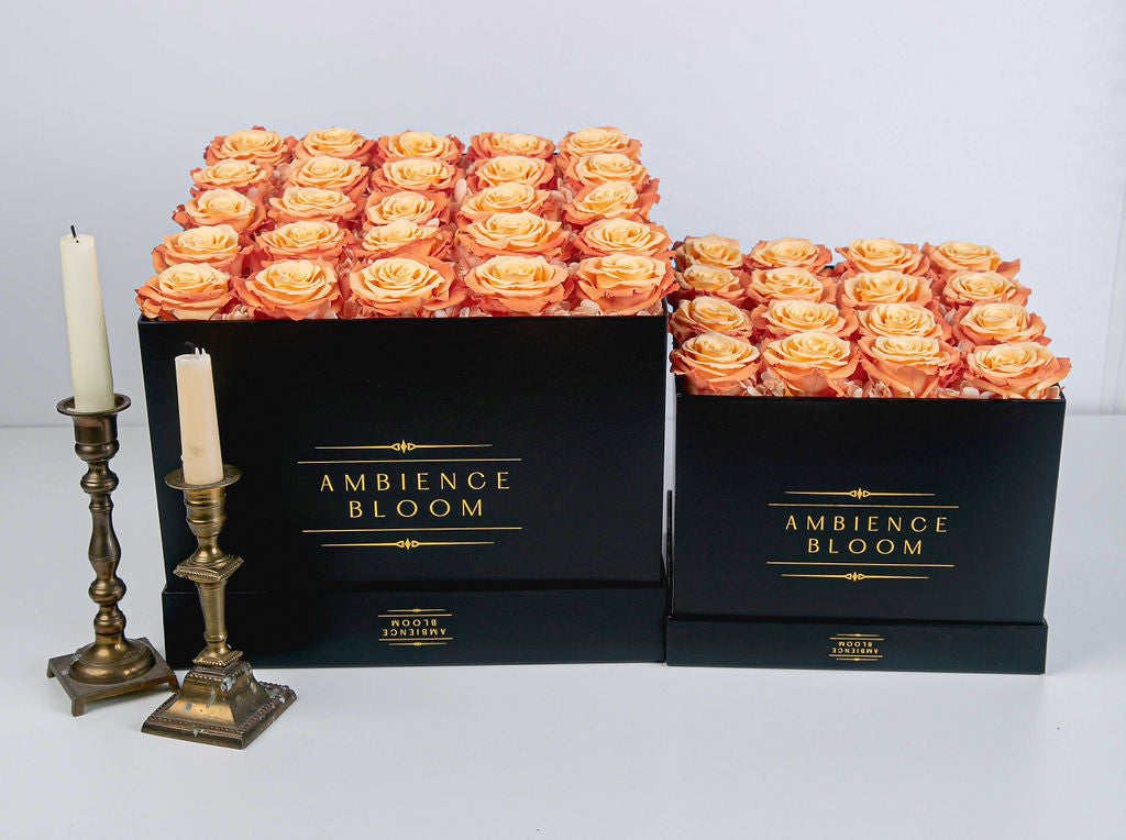 Exclusive Rose Box Collection – Ambience Bloom