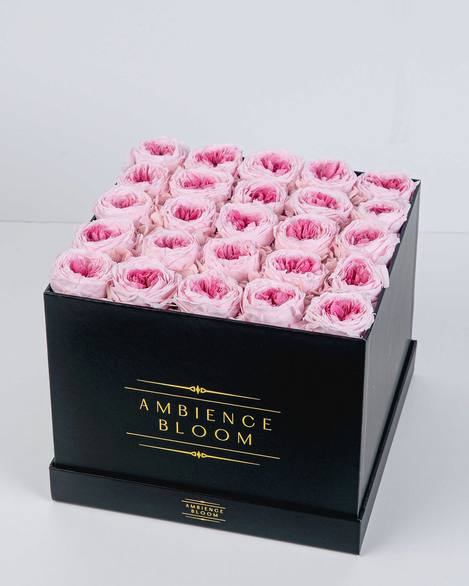 Premium Garden Rose Collection – Ambience Bloom