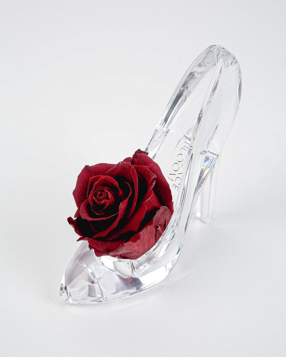 Ambience Bloom Princess Heel Collection