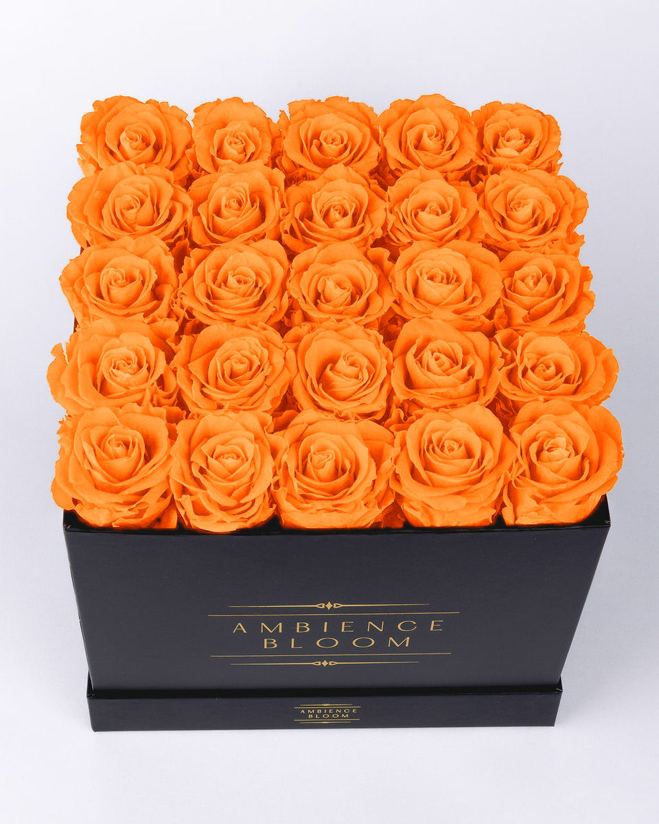Luxurious Rose Box Collection – Ambience Bloom