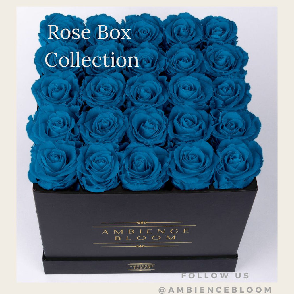 Rose Box Collection – Ambience Bloom