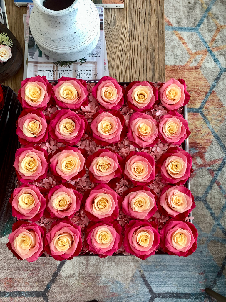 Exclusive Roses - 2 color tones in each bloom – Ambience Bloom