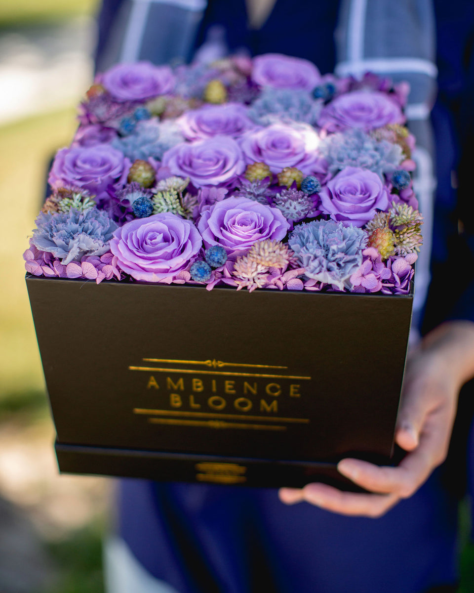 Garden Rose Collection – Ambience Bloom