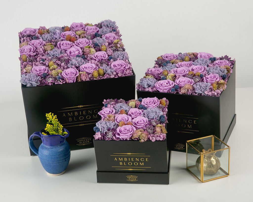 Garden Rose Collection – Ambience Bloom