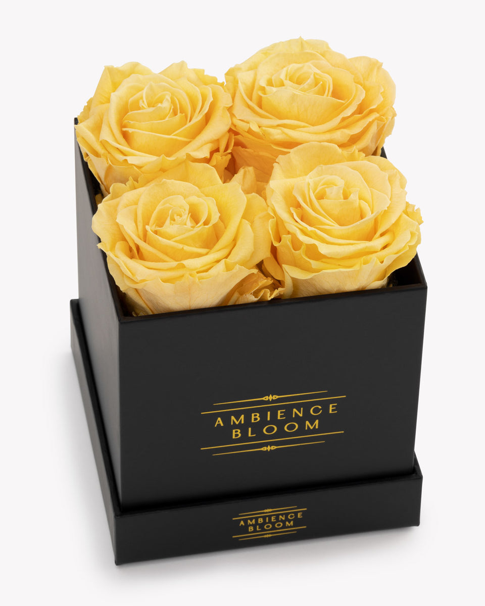 Rose Box - Small Luxury Box – Ambience Bloom