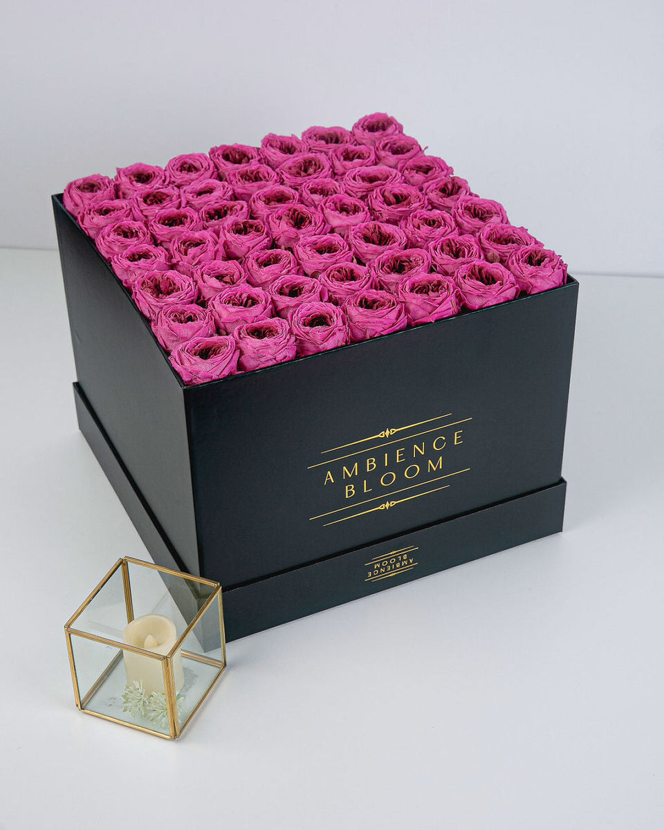 Premium Garden Rose - Magenta Wine – Ambience Bloom