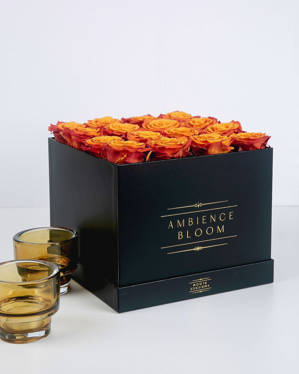 Exclusive Roses - Royal Orange – Ambience Bloom